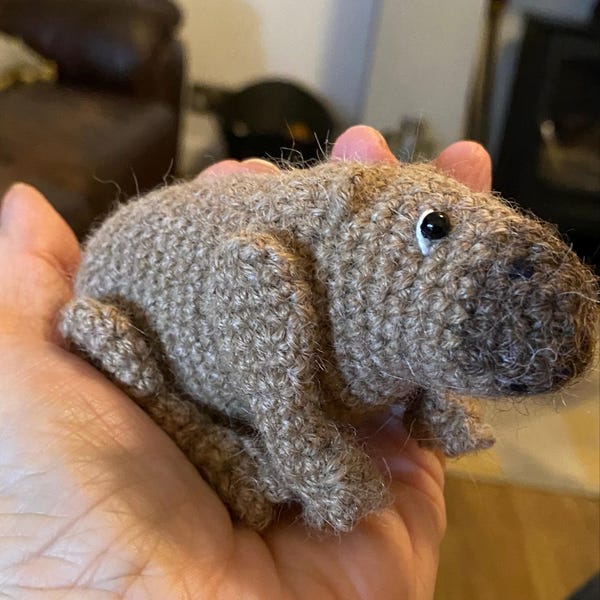 Capybara Crochet Pattern, Amigurumi Capybara Tutorial, DIY Crochet Mini ...