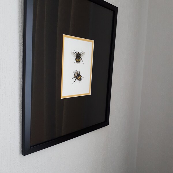 PRINT Flying Bumblebee, Bumblebees Butt, Realistic Bumblebee Wall Art, Zoological Illustration ...
