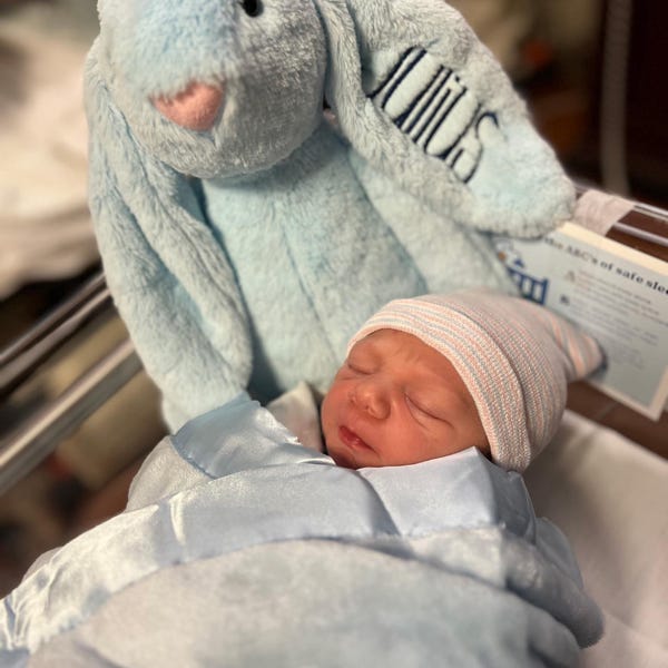 Personalized Embroidered Bunny Rabbit,monogrammed Bunny,newborn Baby ...