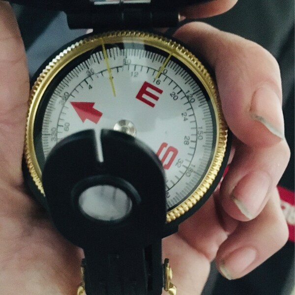 Vintage RAOB Stick Pin: Collectible Lapel Pin - Etsy