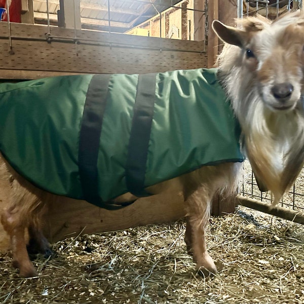 Insulated KID Goat Coat 14 Topline Perfect for NEWBORNS - Etsy