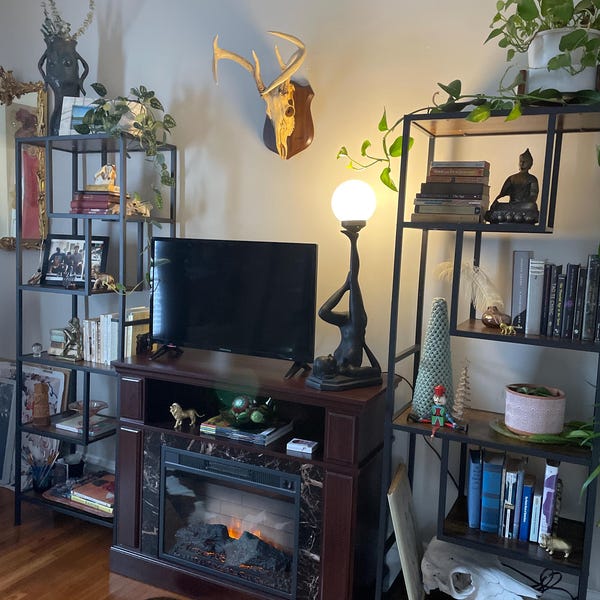 Choose Your Quirky Companion From Vintage Collection: 2 Dapper Rooster ...