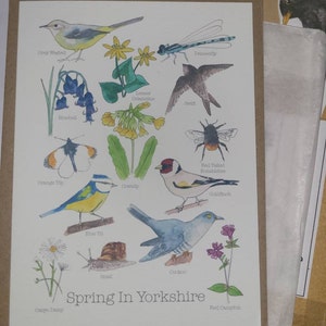 Spring Hope Concertina Card Spring Nature Card Wildflowers Imbolc Card ...