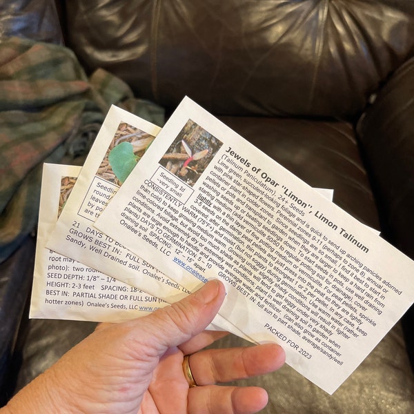 Jewels of Opar ''limon'', Limon Talinum (talinum Paniculatum) Lime ...