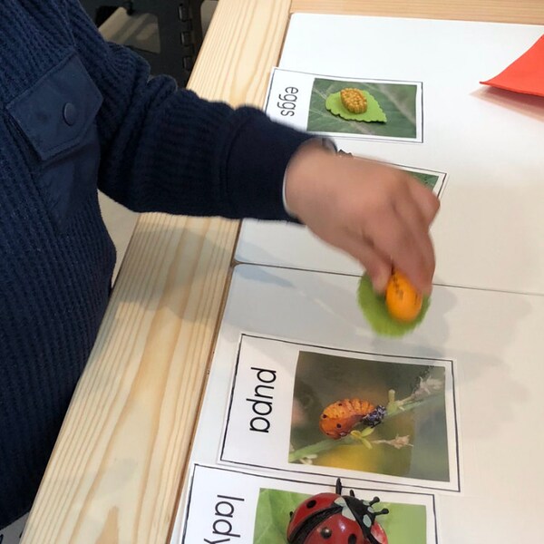 Kids Party Favor Craft Kit -donut Plaster Paint Kit! - Etsy