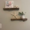 Driftwood Shelf, 32-1/4, Floating, Natural Wood, Display, Wall Shelf ...