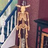 Human Skeleton HO Scale 1:87 Miniature for Horror Diorama, Dollhouse ...