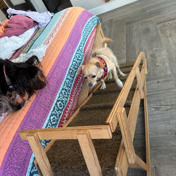 12"x56" Adjustable Pet Ramp – 24", 28", 32" Heights, Side & End Rails ...