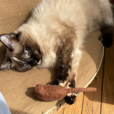 Wool Cat Toy Interactive Wool Mouse/ Kitten Toy/ Cat Toy Mouse/ Felted ...