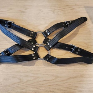 Leather Leg Restraint System | Etsy