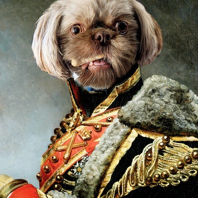 Custom Pet Soldier Portrait, Custom Dog Portrait, Pet Portraits, Pet ...