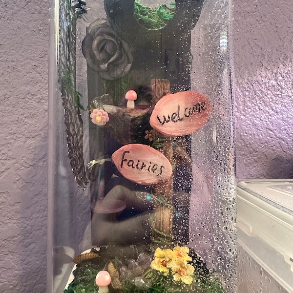 Jumping Spider Enclosure Pink Cute Girly Owl Spider Home Terrarium ...