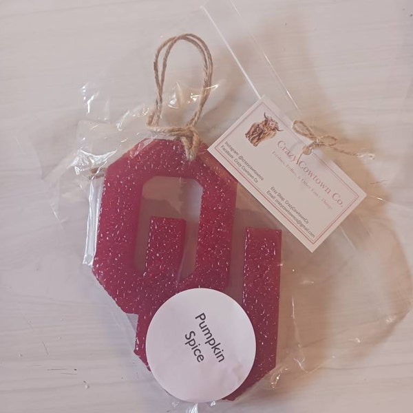 Cactus/succulent Pot - Car Freshie - Etsy