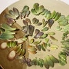 Succulent Leaf Starters Propagation - Etsy