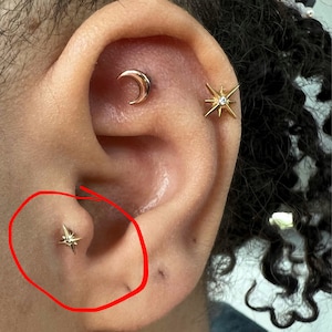 14k Solid Gold Starburst Stud Earring Tiny Star Cartilage Earring ...