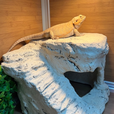 Custom Large Reptile Bearded Dragon Basking Platform, MADE TO ORDER ...