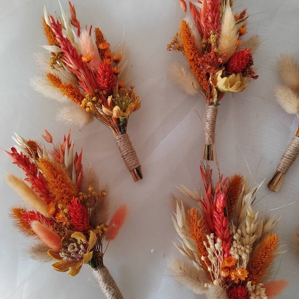 Dried Conkers Conkers in Shells ,dried Natural Conkers Nuts,fall ...