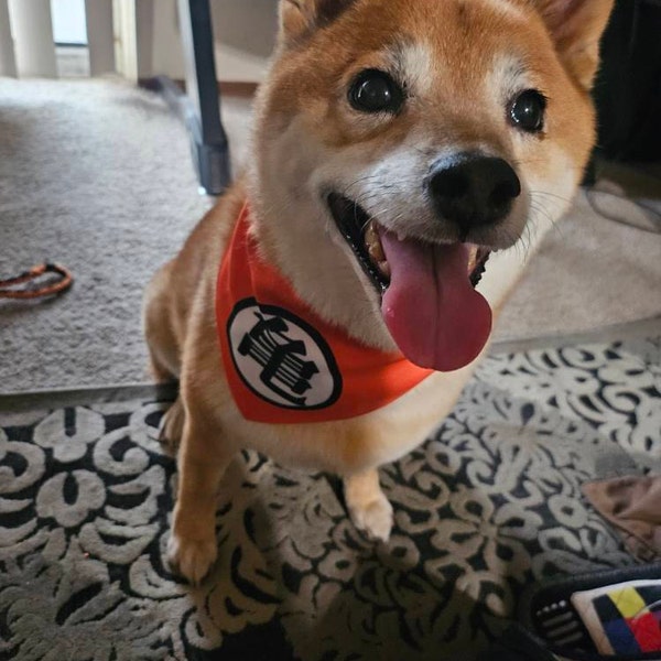 Piccolo Postboy Cosplay Earth Casual Namekian Driving T-shirt - Etsy