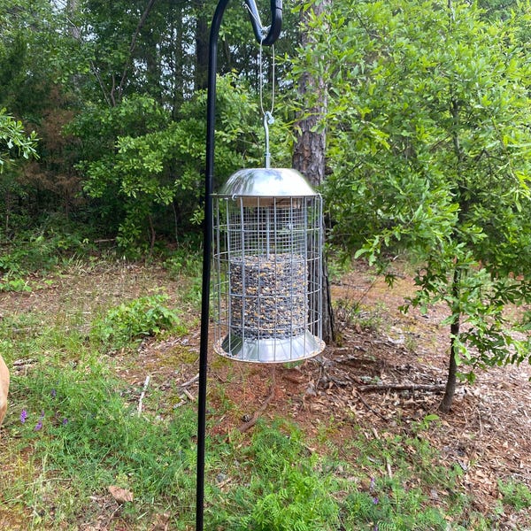 Squirrel Proof, LARGE BIRD STOPPER, Bird Feeder for Songbirds - Etsy