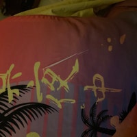 Pastel Goth Cyberpunk Harajuku Streetwear the Great Wave off Kanagawa ...