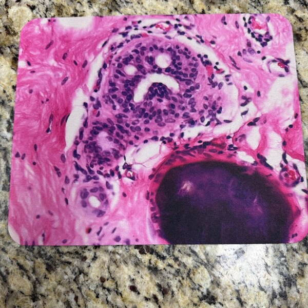 Histology Art, Pathology Gift, Doctor, Nurse Women of Science, Biology ...