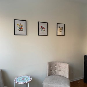 California State Bird Art Print Cal Valley Quail and - Etsy