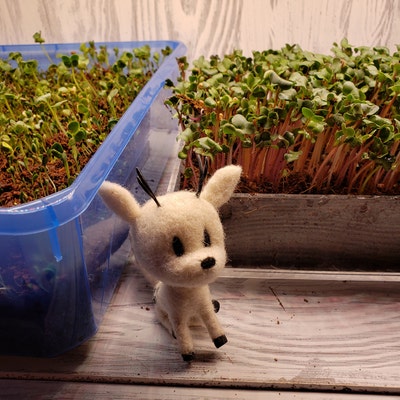 Custom: Felted Deerfox Inspired by Hilda's Twig Order Your Own - Etsy