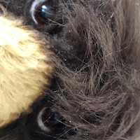 Wildcat Plush Sewing Pattern / PDF Cheetah / Cheetah Sewing Pattern PDF ...