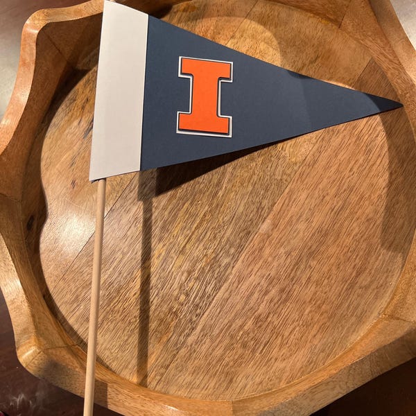 Custom College Pennant Flags | Centerpiece Pennant Flag | College Flag ...