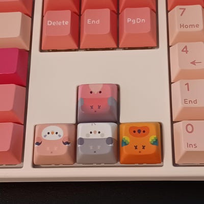 Birdy Keycaps for Mechanical Keyboard - Etsy