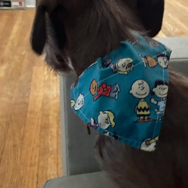 Indoraptor Sticker: Jurassic Park Dinosaur Decal, Waterproof Vinyl - Etsy