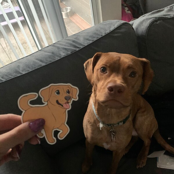 Labrador Retriever Sticker || Chibi Puppy Dog, Vinyl, Hand Drawn ...
