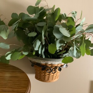 Fresh Gunni Eucalyptus/ Wedding/ Greenery/ Eco Printing / Silver Dollar ...