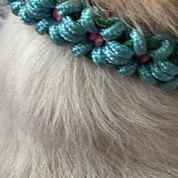 Custom Flower Collar & Leash Set - Etsy