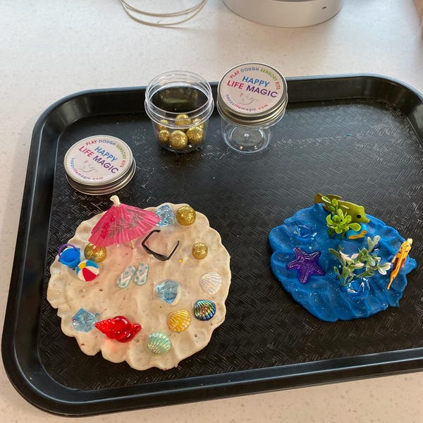 MAGIC Play Dough Jars, Play Dough Kit,kids Party Favors, Goodie Bags ...