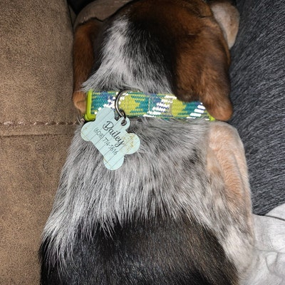 Pet ID Tag-new Large Pet Tag, 2x 1.25bone Tag. Personalized Dog, Pet ID ...