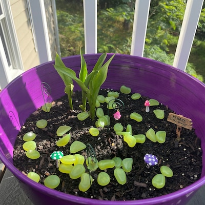 3 Glow-in-the-dark Miniature Fairy Garden Mushrooms With - Etsy