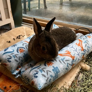 Bunny Wood Hide a Treat Toy 2.0 Version Small Pet Chew Toy - Etsy