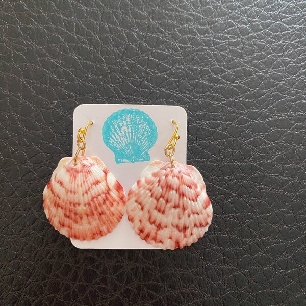 Seashell Frog With Fan, Frog Figurine, Seashell Art, Sanibel Island ...