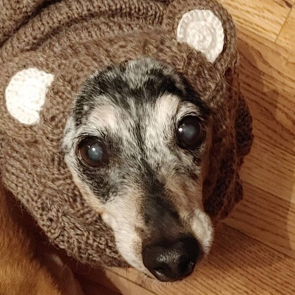 Pet Frog Costume - Halloween Costume Frog Sweater and Hat - Dachshund ...