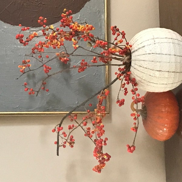 Bittersweet Bundle of Twigs and Berries, Real Bittersweet Vine and ...