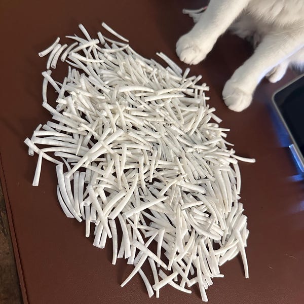 Conch SHELL Nautical Beach Decor NIGHTLIGHT LAMP - Etsy