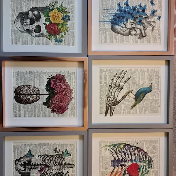 Anatomy Art Print Set 6 Medical Wall Art Anatomical Poster Home Decor ...