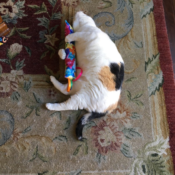 Large Cat Kicker Toy With Ribbons. 12 to 13 Long. Quality Catnip Silver ...