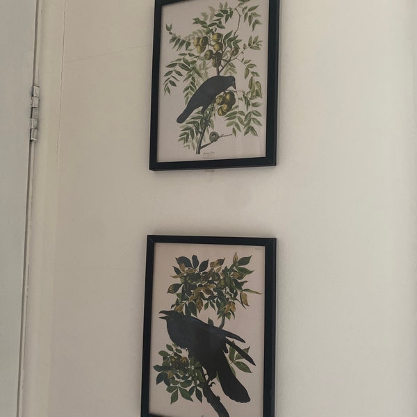 Paul Klee, Animals in an Enclosure Print, Paul Klee Print, Abstract ...