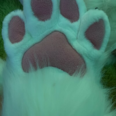 Fullsuit Fursuit Digi Legs Suit - Etsy