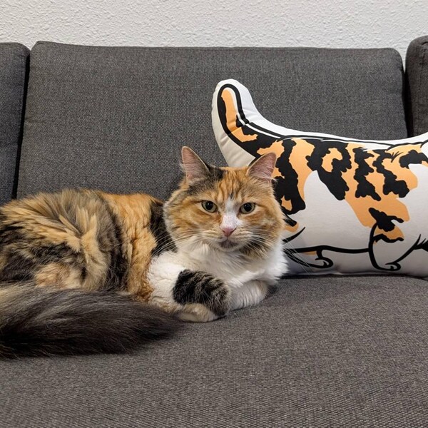 Chonky Black Cat Spooky Summer Vibes Custom-shaped Pillow - Etsy