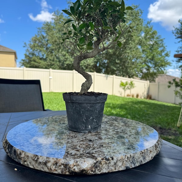 22 Inch, Marble Quartz Table Top, Lazy Susan, Turntable, With Polished ...