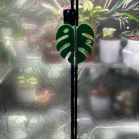 Plant Trellis Cebu Blue Pothos Plant Art Plant Decor - Etsy Canada