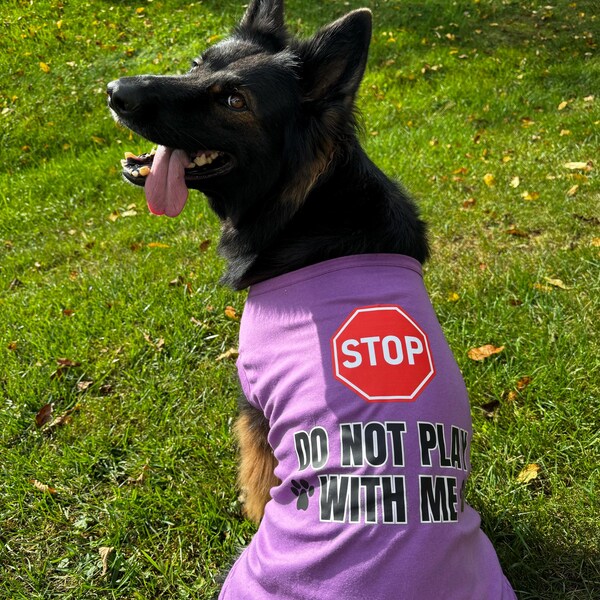 Customizable Pet Shirt: Create a Unique Look for Your Pet Personalized ...